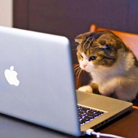 Vittary Github - Artistic Full HD Landscape Images | Free Download