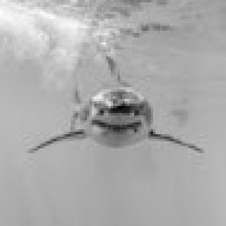 Prasanth 42 Prasanth K R Github