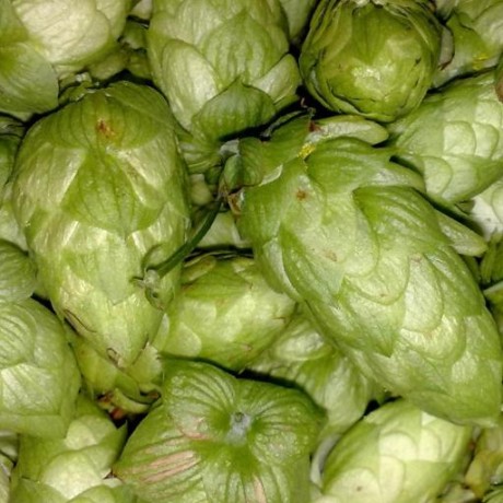 Drunkuncleabe Abe Github