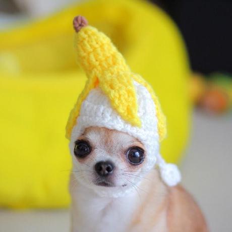 Ginger Lau Ginger Github