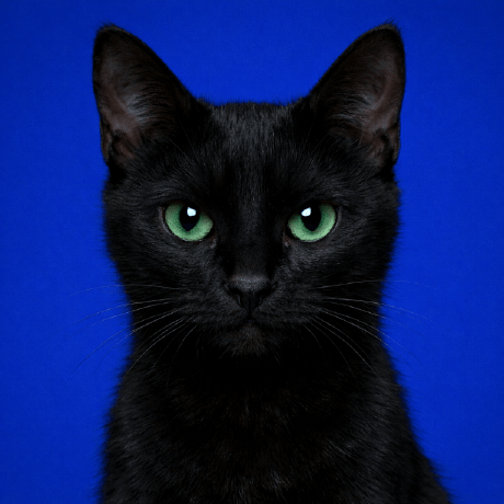 Youransun Youran Sun Github