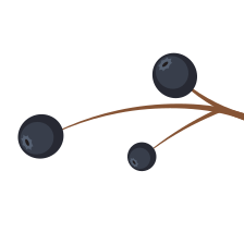 Bilberry Software Ltd Github