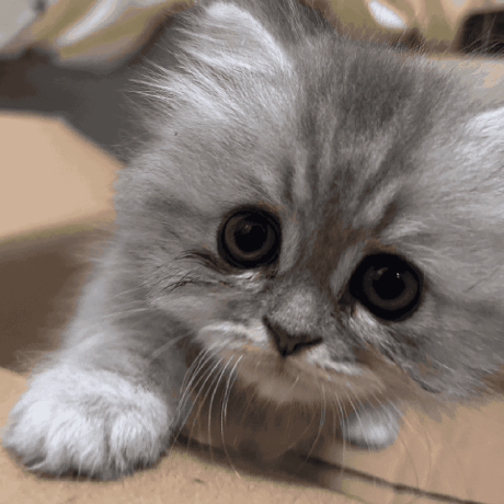 Cc Weng Cc Weng Repositories Github