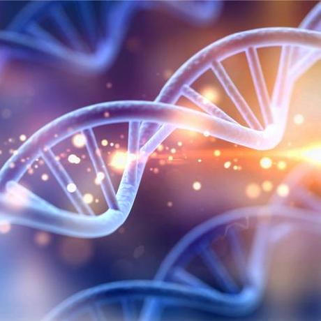 Li Lab Statistical Genetics And Bioinformatics Github