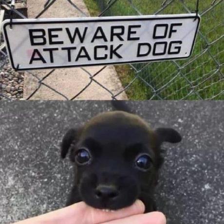 Yengniws Yeeun Park Github