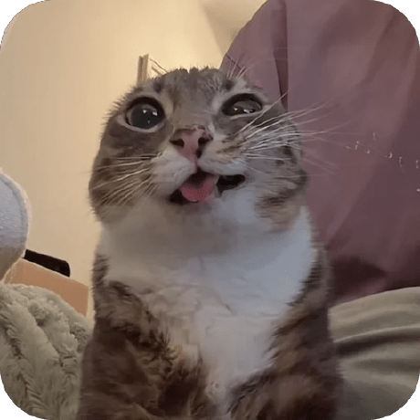 Kaleb Robotics Github