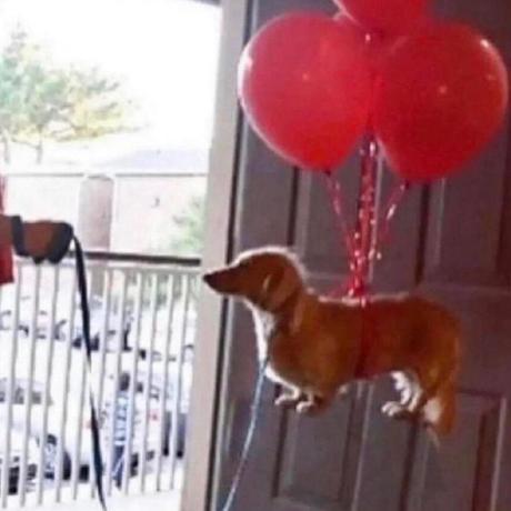 Byquangthanh Quang Thanh Github