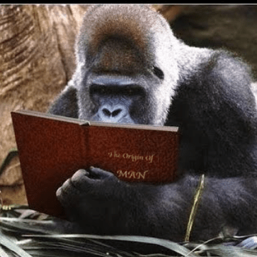 Madhav Gfn Madhav Mishra Github