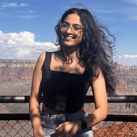 Msethi13 Mitali Sethi Github