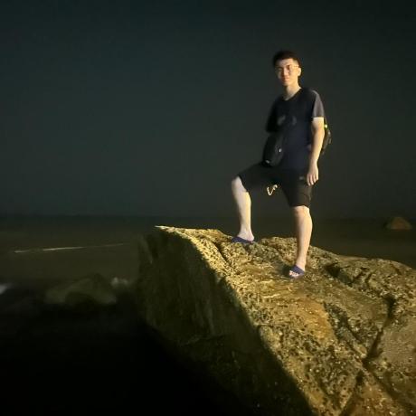 Rinshiina Lingzhe Zhao Github