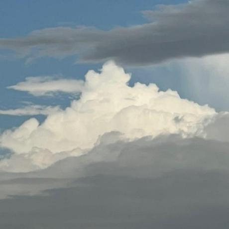 Fashionfu е з њи њ в Github