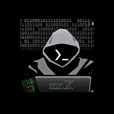 Whomrx666 Mr X Github