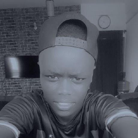 Steve1253 Steve Hex Github