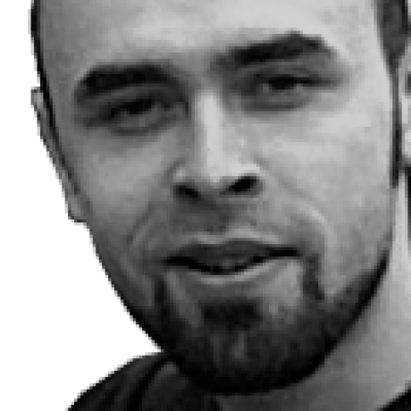 Idlesign Igor Starikov Github