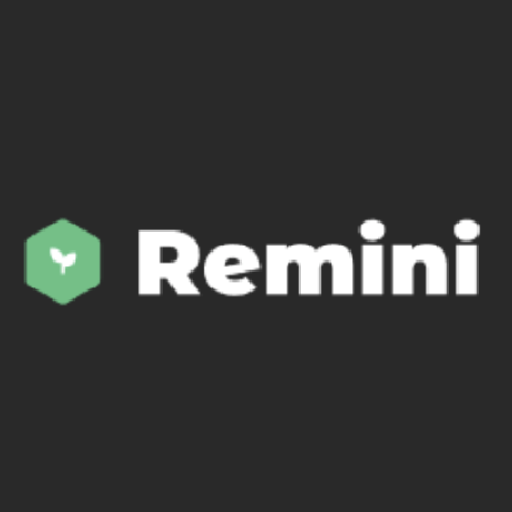 Team Remini Github