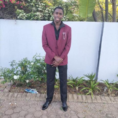 Ai Datawizard Tadiwa Chopamba Github