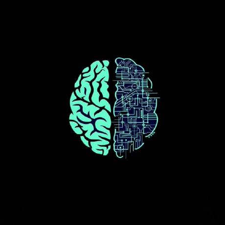 Menna107 Menna Hekal Github