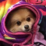 Therealconnor04 Connor M Github