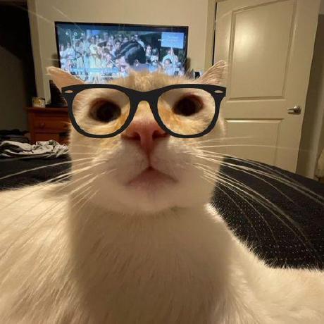 Our Exhibition Is Open Github