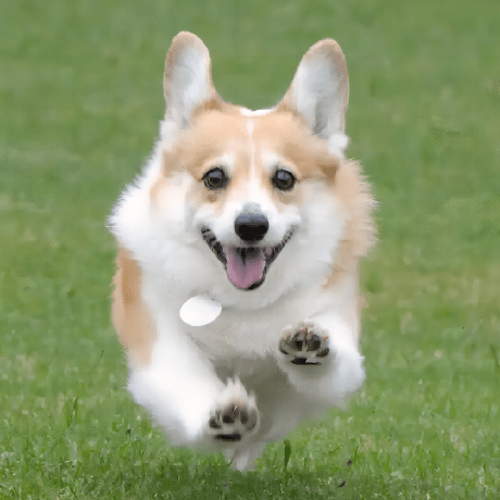 Lewis5499 Lewis Github