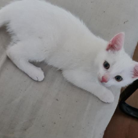 Luxru Lux Github - Space Picture Collection - 8K Quality