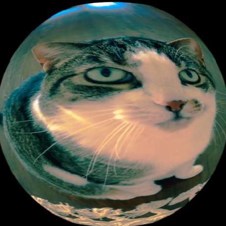 Distinguished Newt Distinguished Newt Github