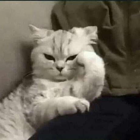 Menna Hassan246 Menna Mahmoud Github