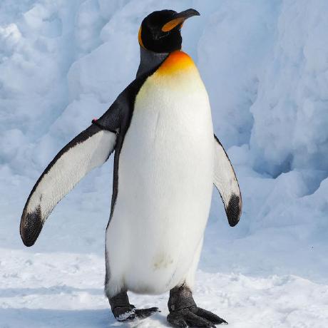 Keithxvb Keith Github - Best Landscape Illustrations in 4K