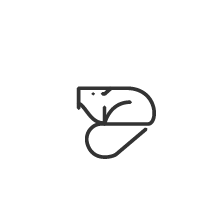 Beaver Github