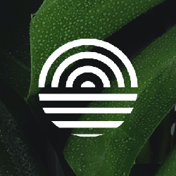 Emmanueltms Emmanuel Github