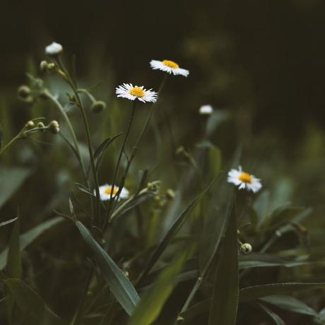 Shreyazh Shreyazh Github