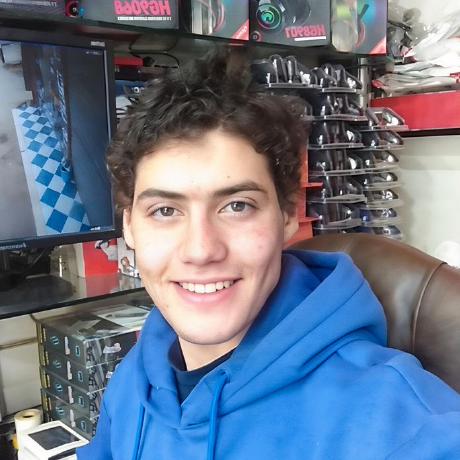 Safeelden Seifeldin Ahmed Github