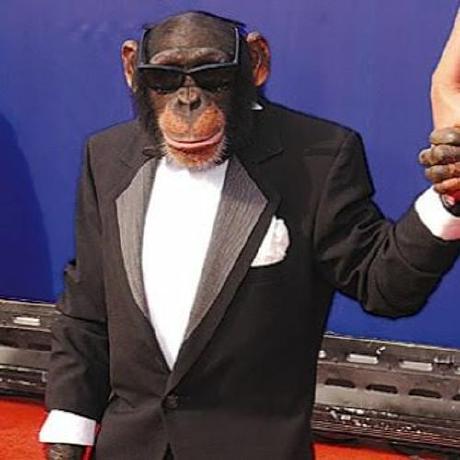 Monkey Business Github