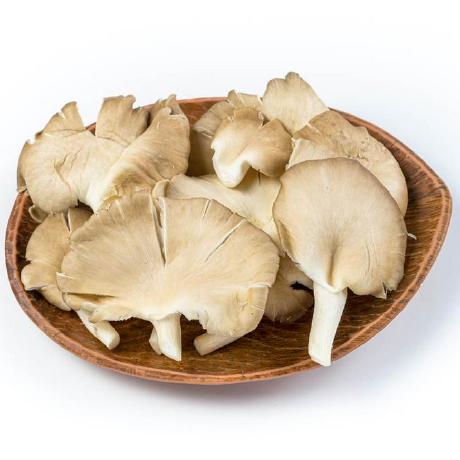 Mushroomproject Github