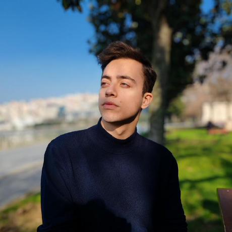 Emree Sen Emre 艦en 路 Github