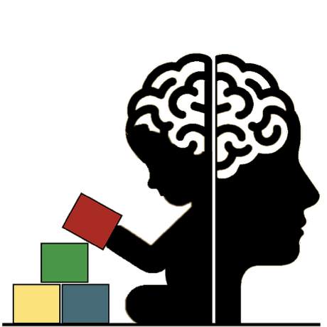 Physical Cognition Lab Github