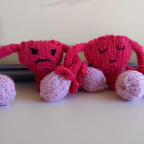 Virtual Uterus Github