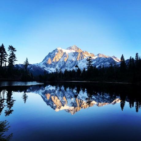 Uw Center For Progress In Resuscitation Github