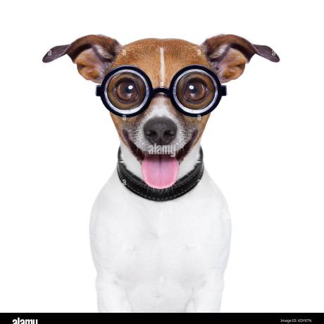 Thefoxables Fox Github