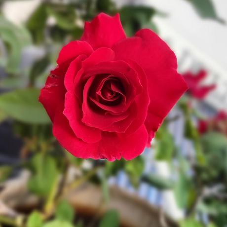 Riddhi Frontend Parmar Riddhi Github