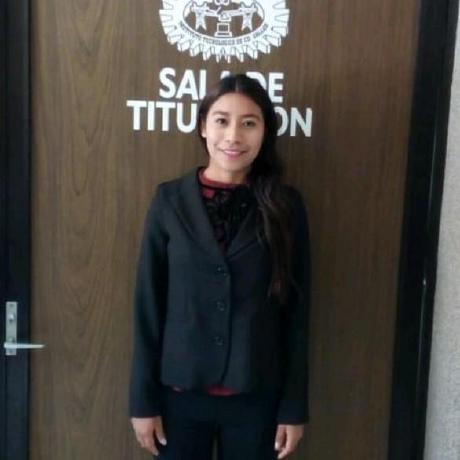 Dianaestebansantos Diana Github
