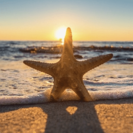 Kevin X Jupiter Github