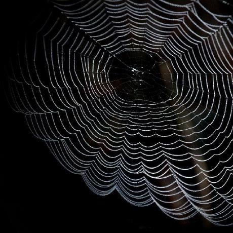 Github Blackhatcn Blackhat - Abstract Arts - Premium Retina Collection