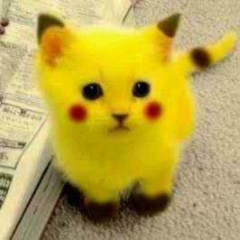 Cycloneforcee Cyclone Github