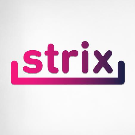 Gortega Strix Gabriel Ortega Github