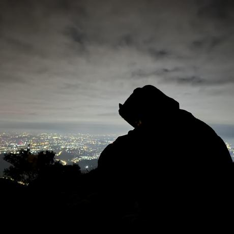 Xiang Chen Fsy Fsx Github