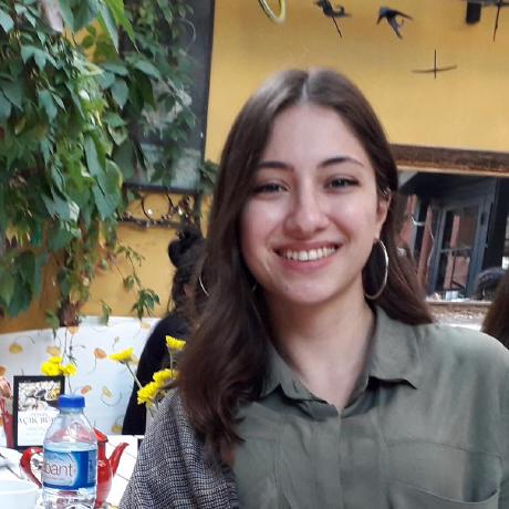 Dilara Pro Dilara Akkuş Github