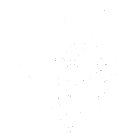 Owlcode Github