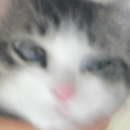 Erick Parrado Github