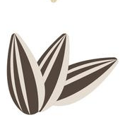 Seed Framework Github